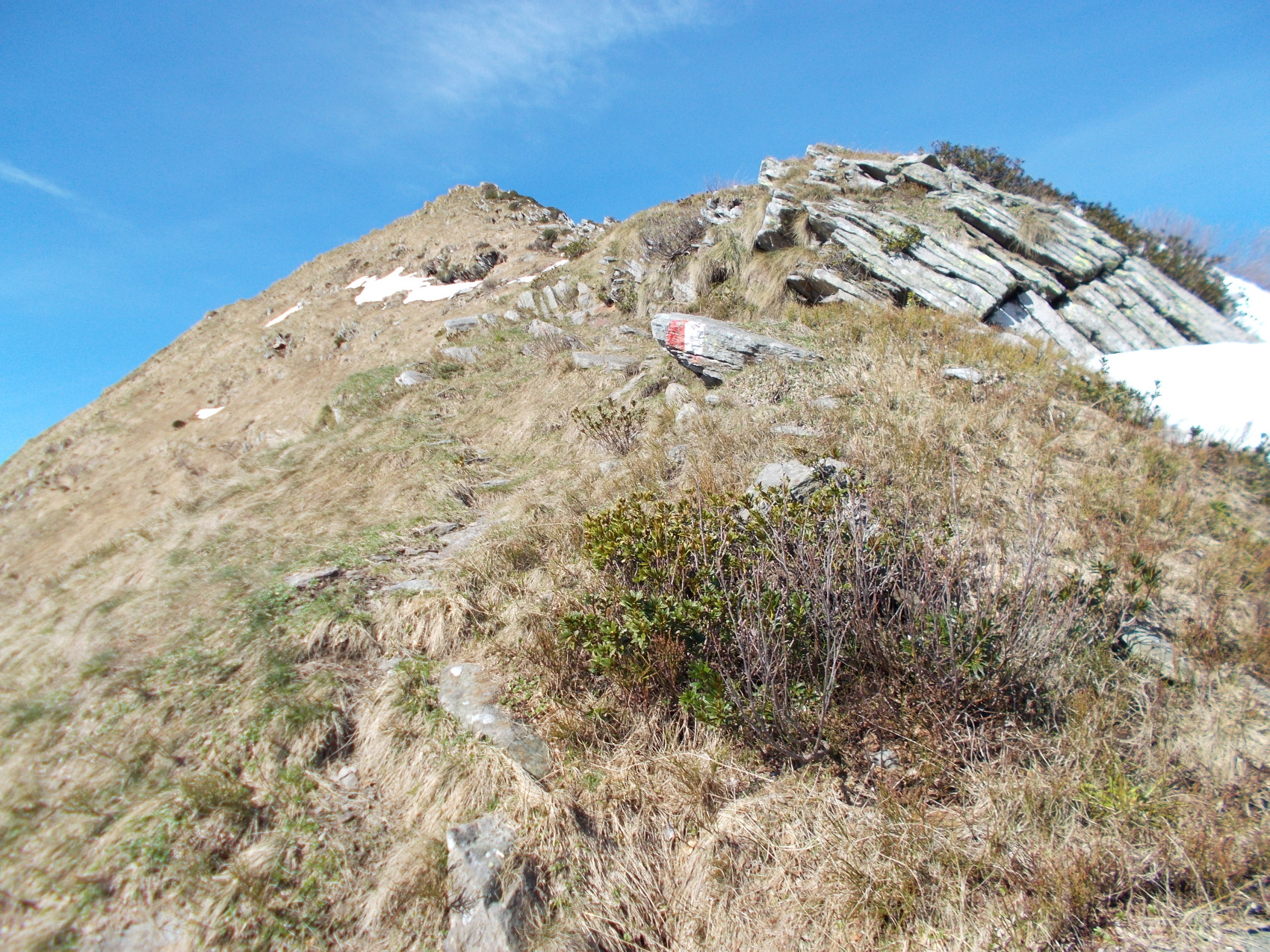 Il tratto finale per La Piota - Fotos [hikr.org]