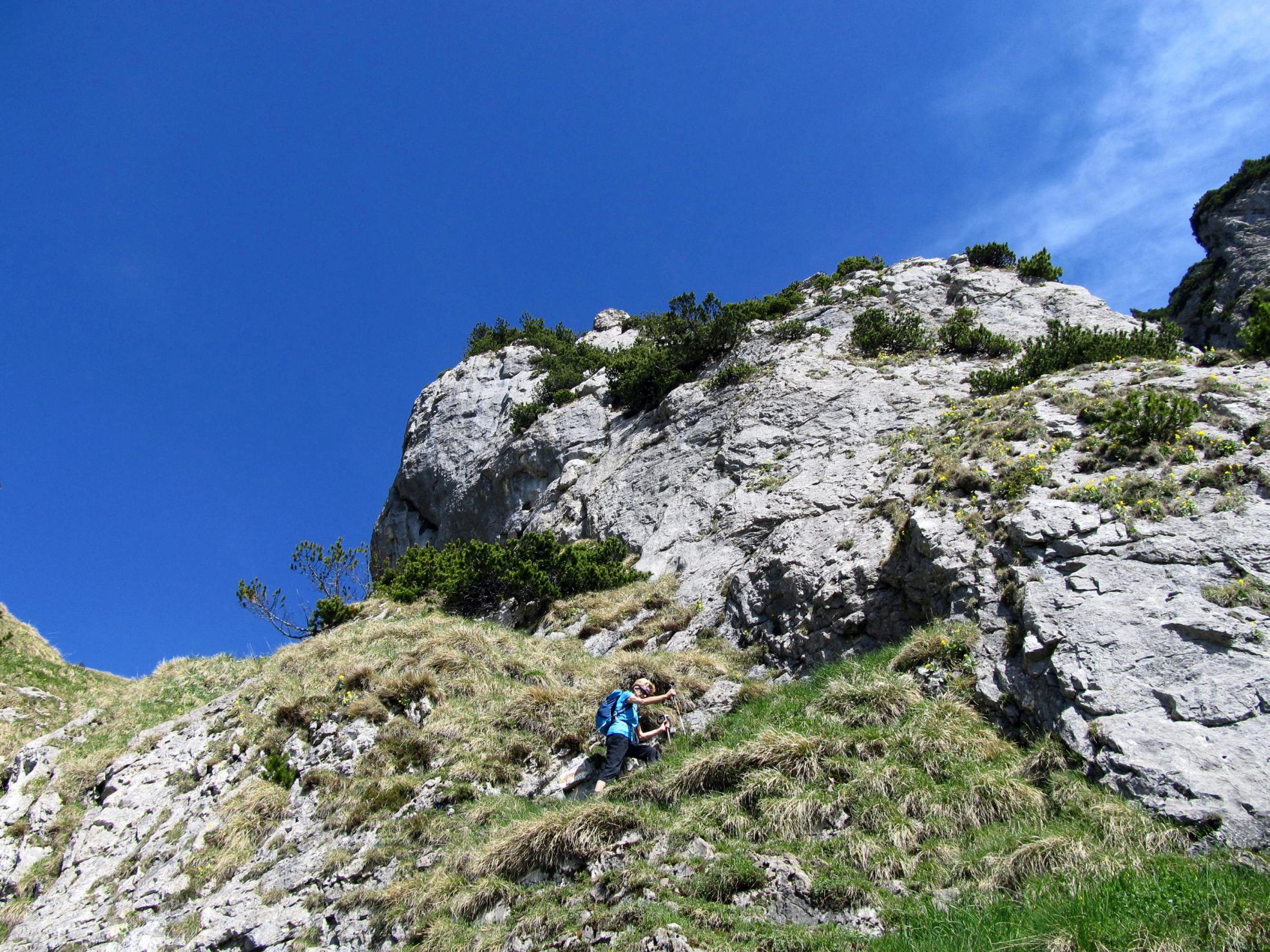 Esther58 im Ausstieg aus der steilen Flanke - Fotos [hikr.org]