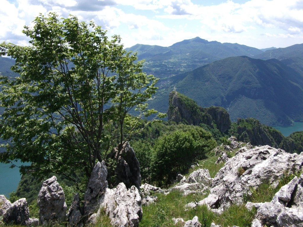 Monte Bronzone - Fotos [hikr.org]