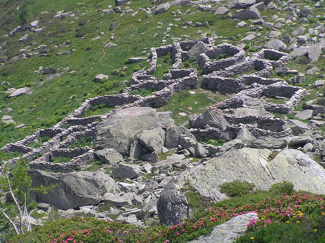 Alpe Laggin - Fotos [hikr.org]