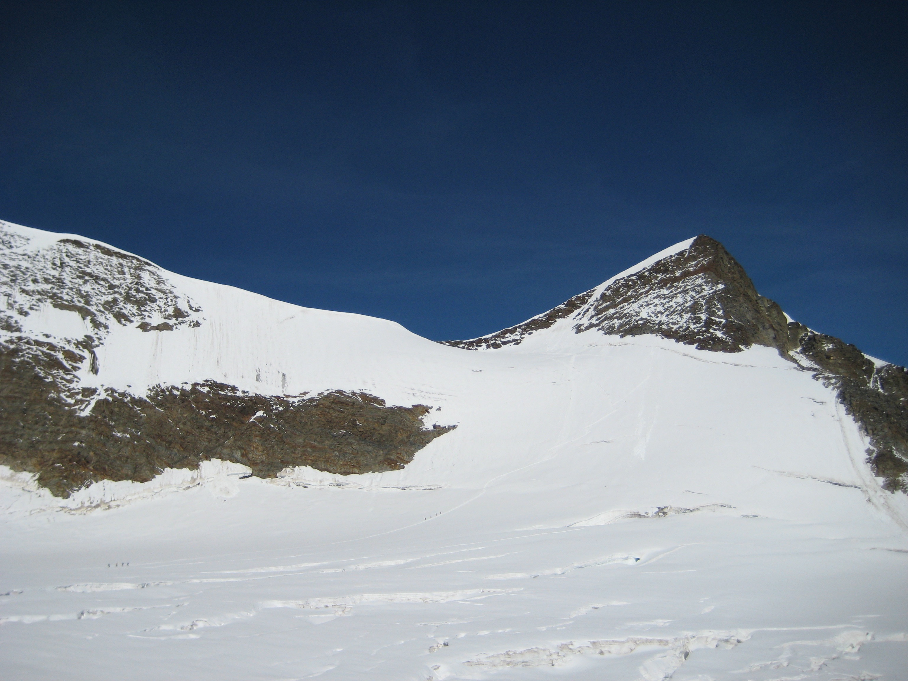 Gut erkennbar die steile Flanke vom Hohbalmgletscher ins... [hikr.org]