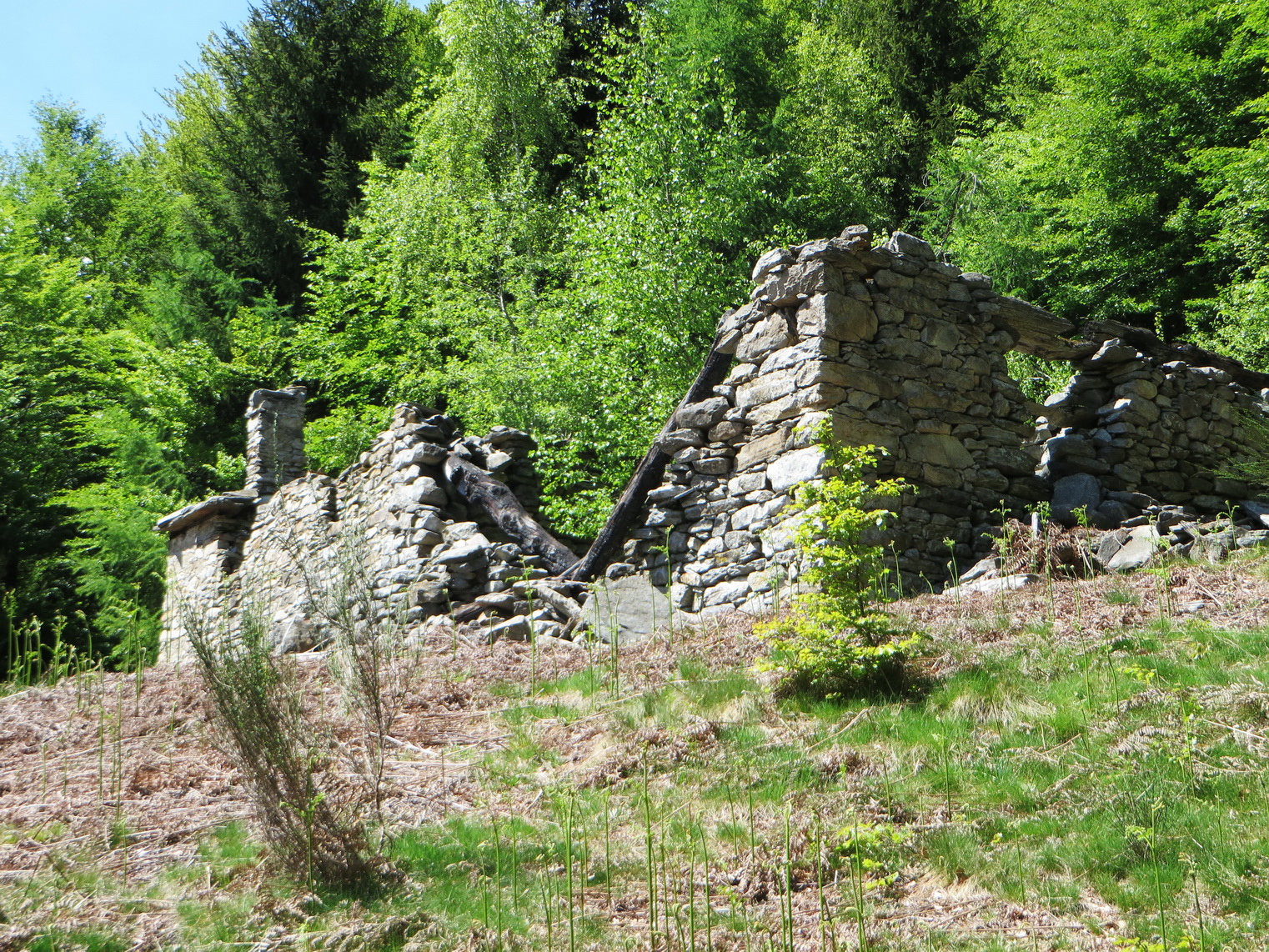 noch eine Ruine, das muss einmal ein imposantes Gebäude... [hikr.org]