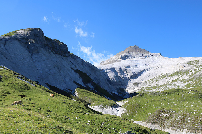 Alp Mora - Fotos [hikr.org]