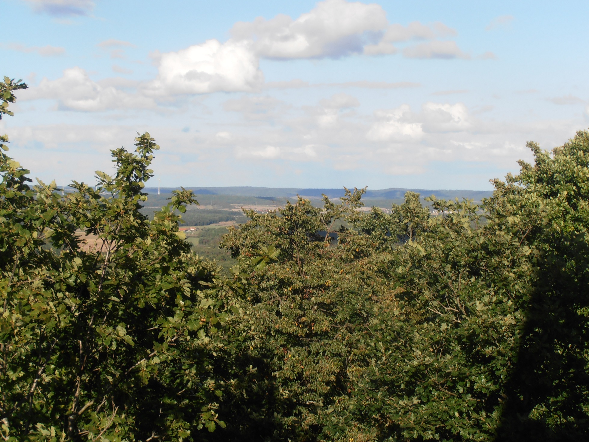 Der Steigerwald in östlicher Richtung. - Fotos [hikr.org]