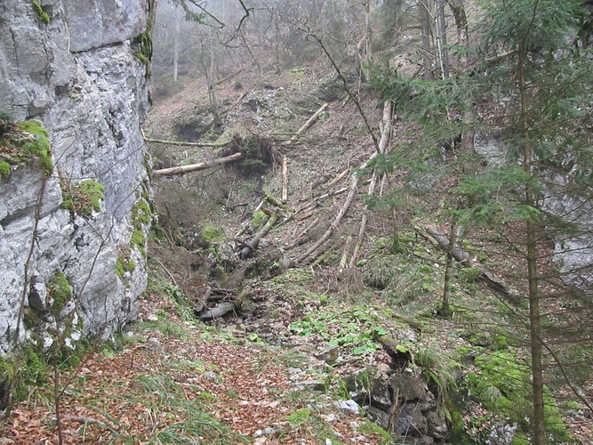 der Zugang zum Bach und der Schlucht ... - Fotos [hikr.org]