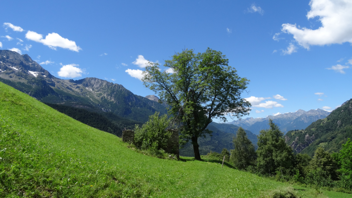 unterhalb von Soglio mit Blick nach Italien - Fotos [hikr.org]