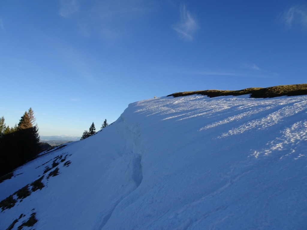 von der Alp aus betrachtet ... - Fotos [hikr.org]