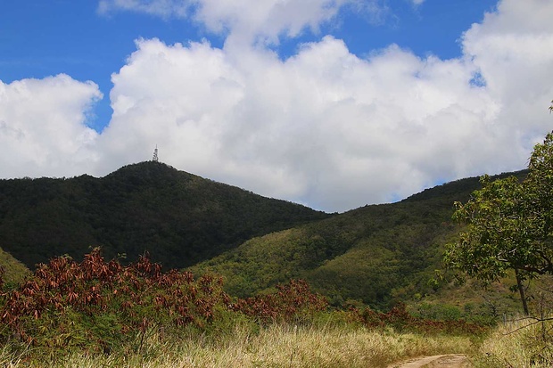 Mount Obama / Boggy Peak 402m – Tourenberichte und Fotos [hikr.org]