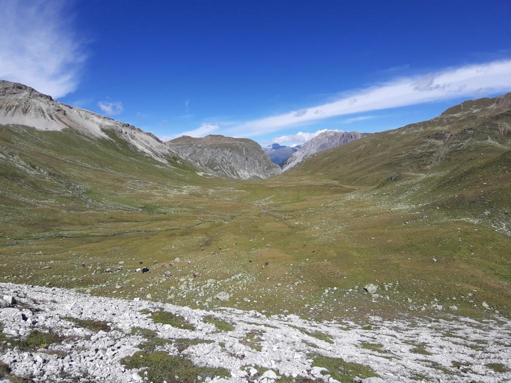 Piz Rims (3067 m) da Slingia - stupenda cima tra Val Venosta e Bassa ...