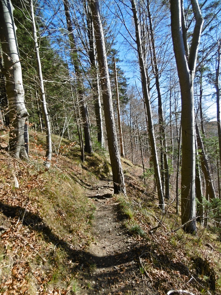 Der Steig führt durch die steile Flanke hinunter in die... [hikr.org]