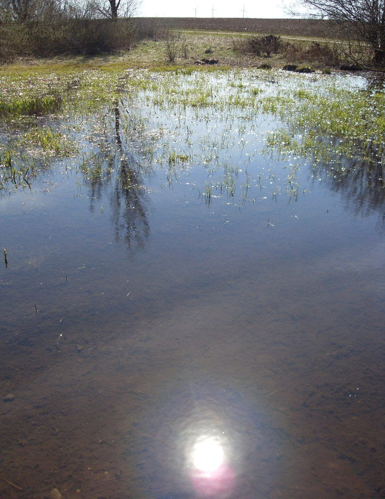 Sonne, Wasser, Wind - Fotos [hikr.org]