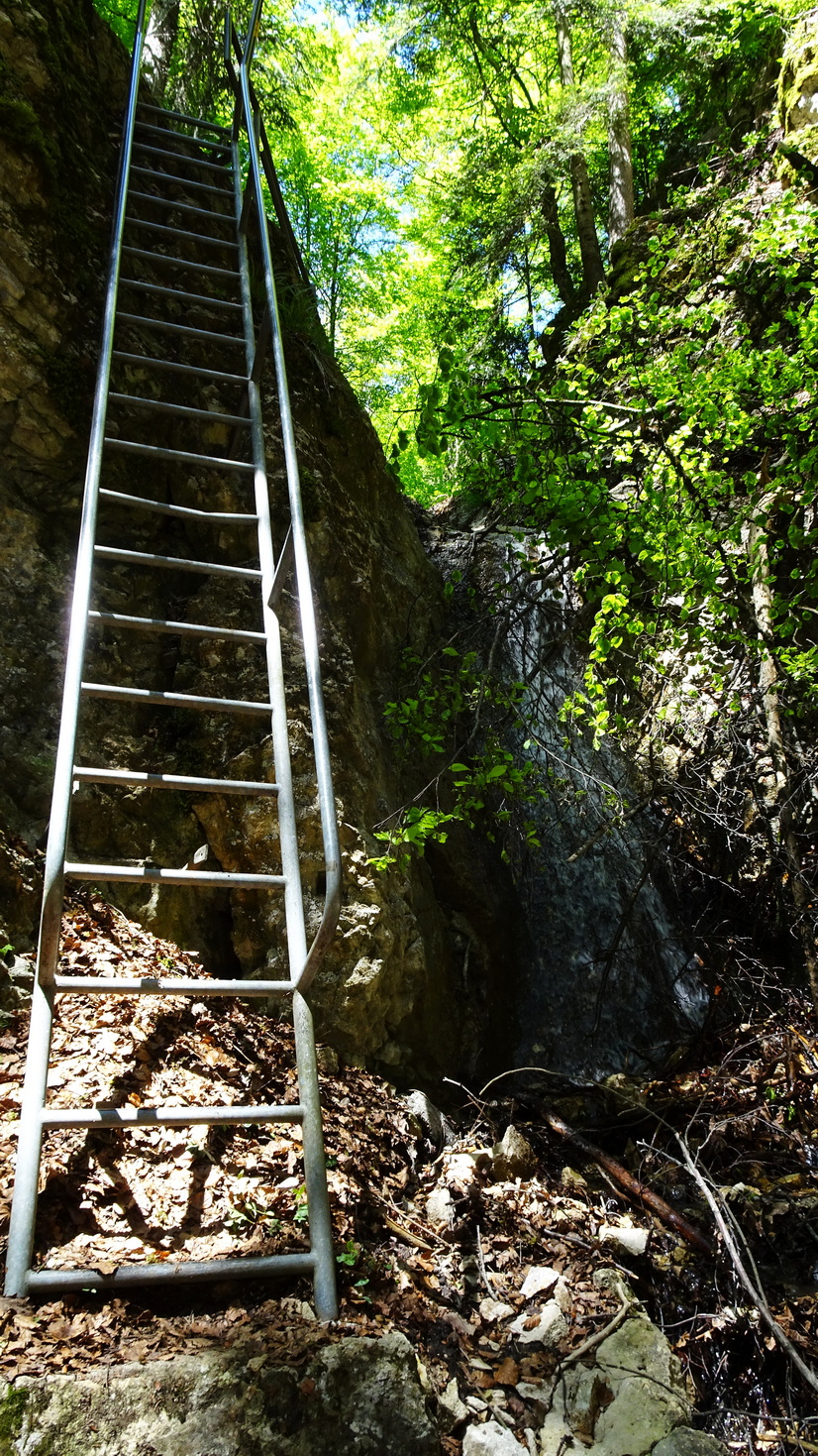 die Leiter - Fotos [hikr.org]