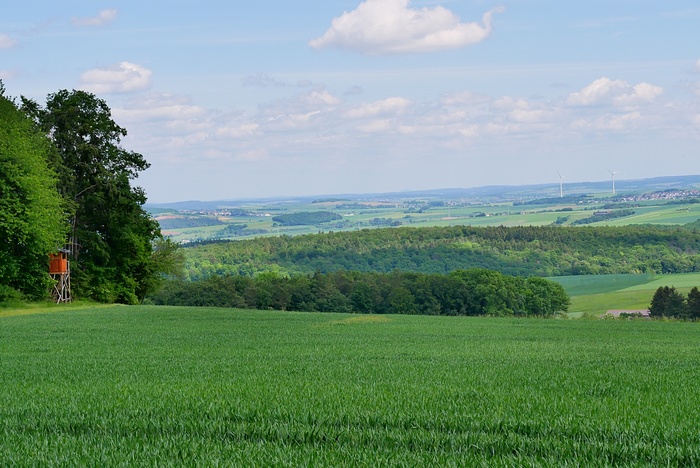 Bei Mudersbach - Fotos [hikr.org]