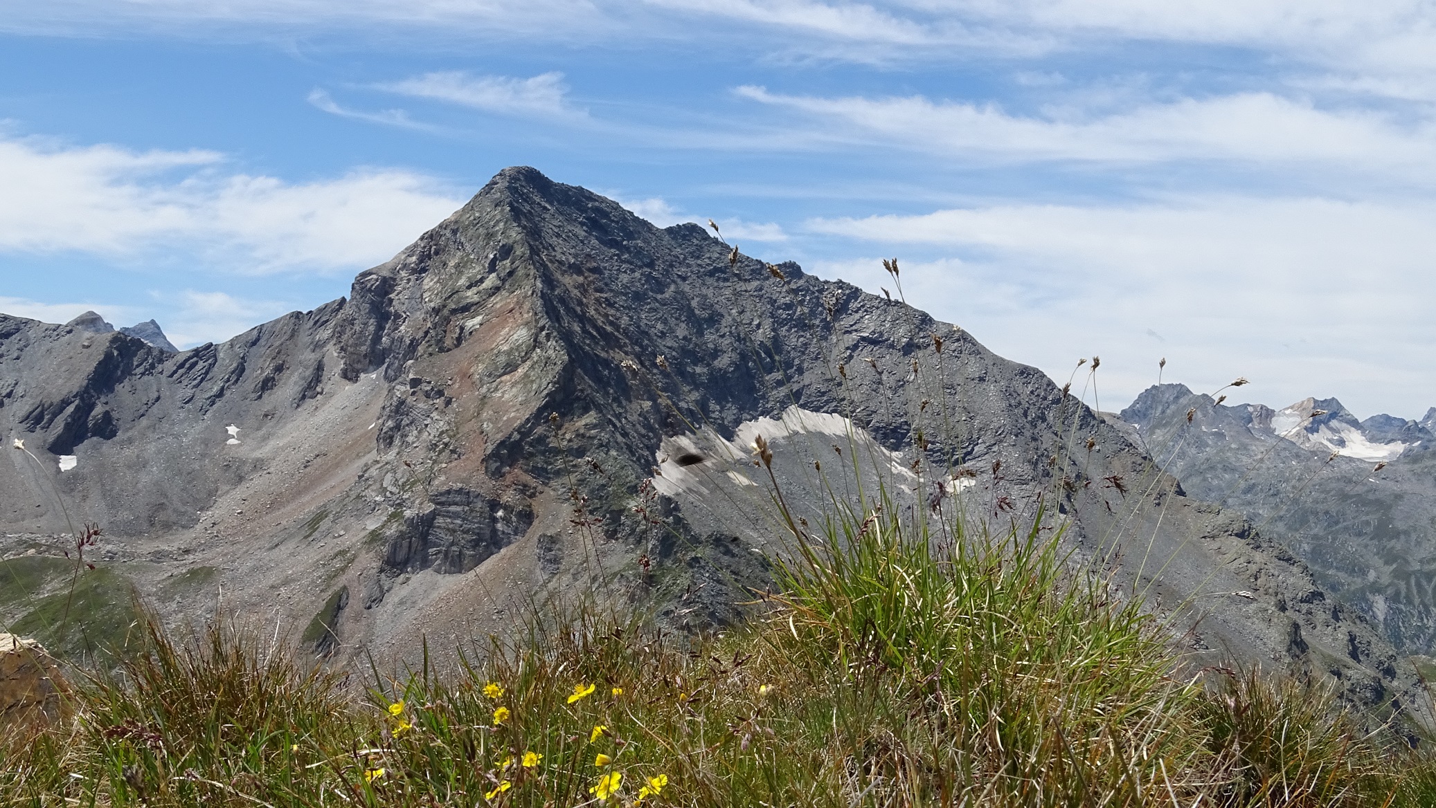 Piz Grisch. - Fotos [hikr.org]