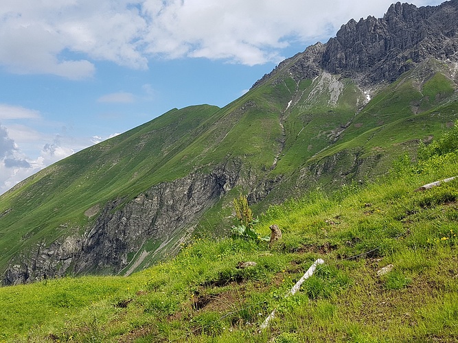 Murmli (2) - Fotos [hikr.org]