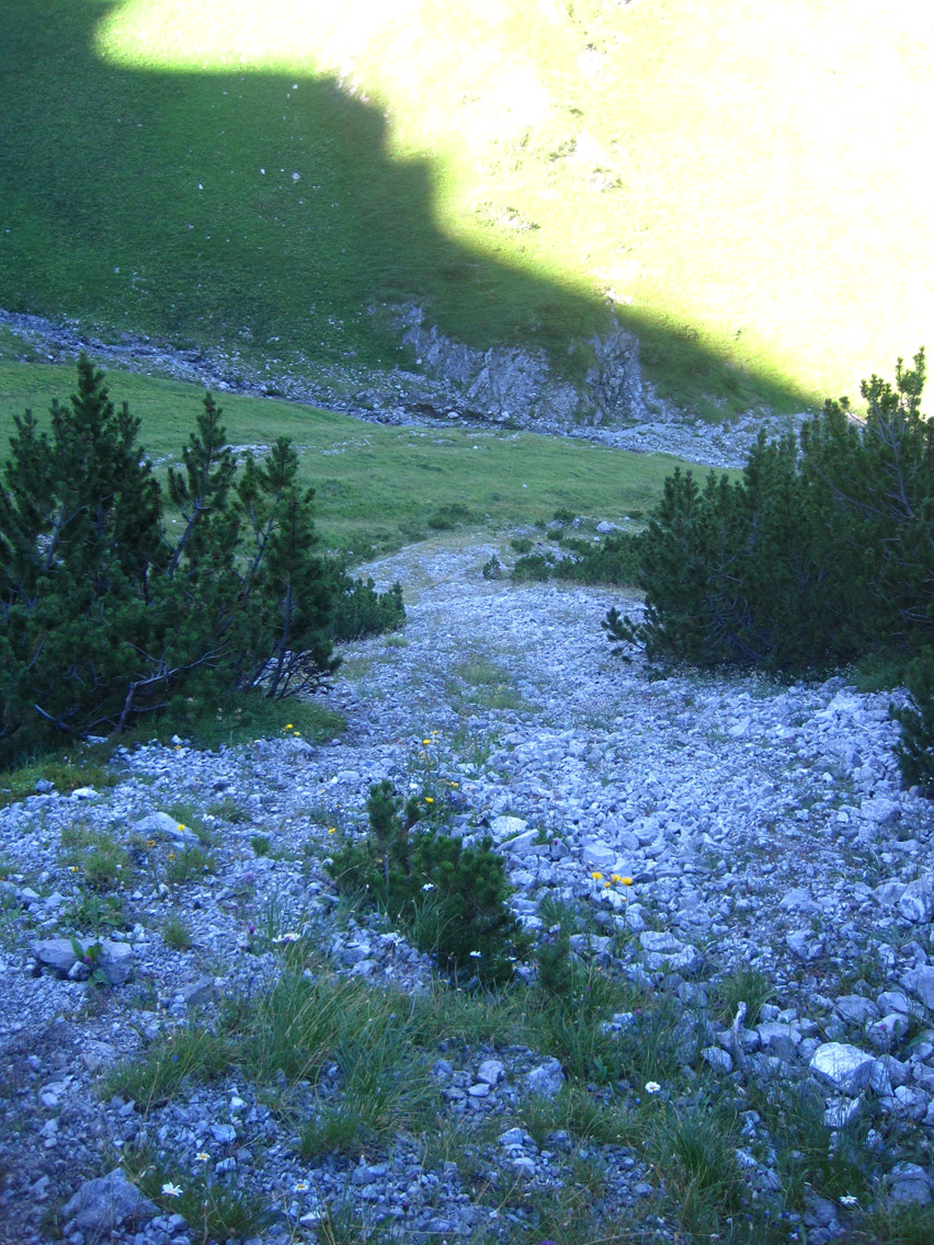 Die nun folgende, recht steile Flanke ist von Rinnen... [hikr.org]