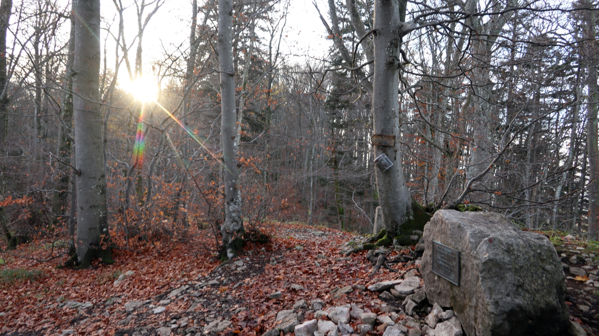 Höchster Punkt des Kantons Aargau! - Fotos [hikr.org]