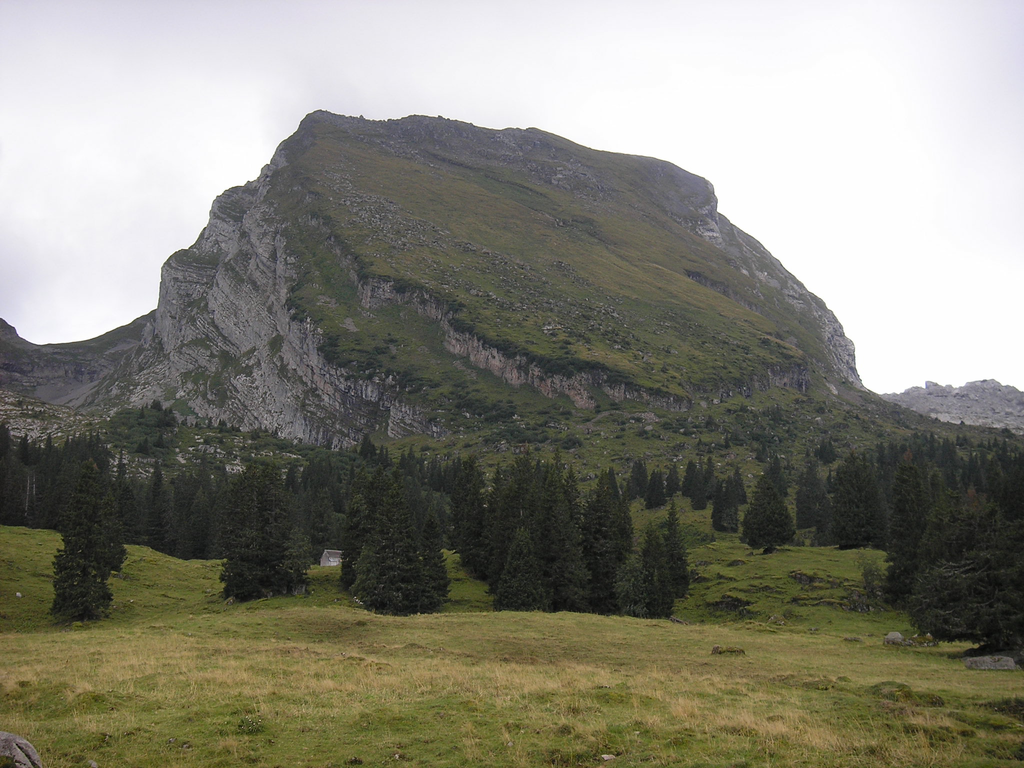 Der Brisi 2279m - Fotos [hikr.org]