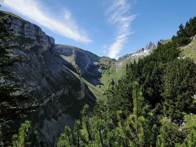 Steile Bergflanken, hoch über der Fählenalp. - Fotos [hikr.org]